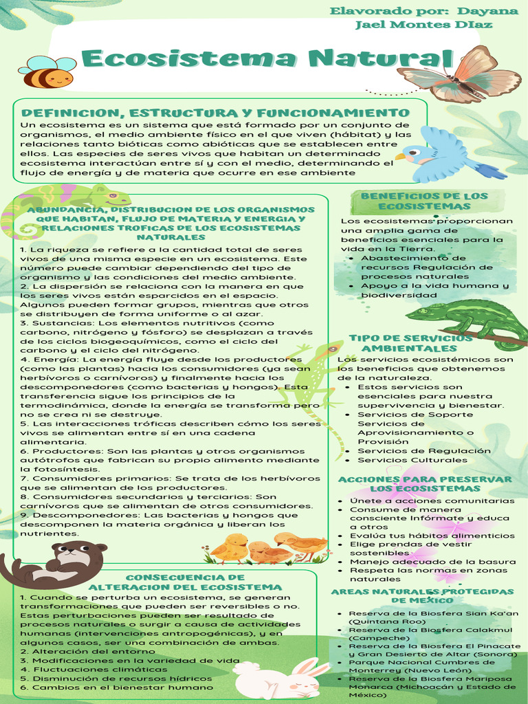 Infografia Ecosistemas | PDF | Ecosistema | Entorno natural