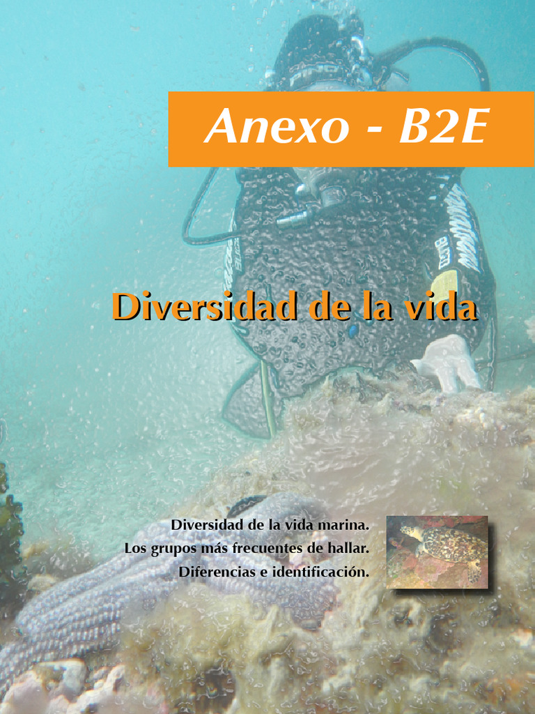 Anexo B2E Diversidad de La Vida | PDF | Esqueleto | Tentáculo