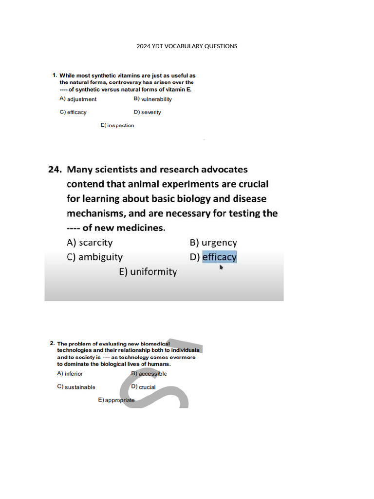 YDT 2024 Vocabulary Prep | PDF