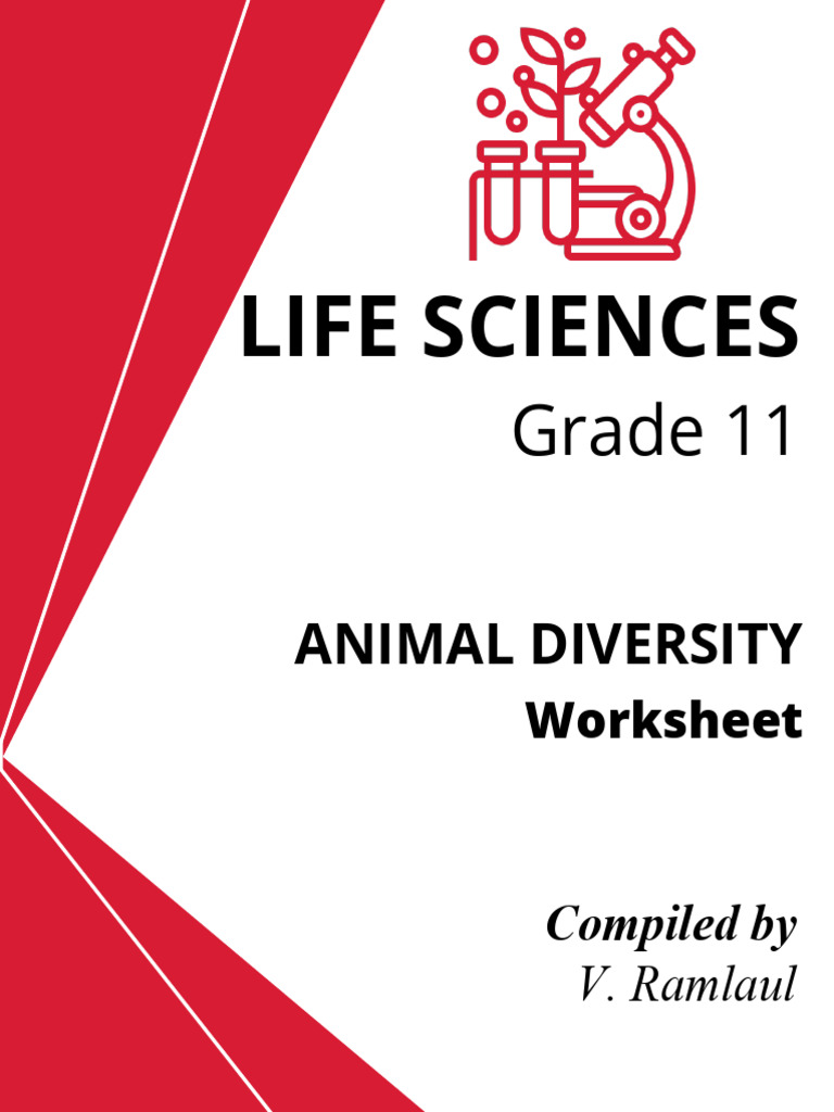 Gr12 LS Animal Diversity Worksheet | PDF | Organisms
