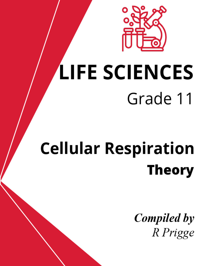 Cellular Respiration in Grade 11 Life Sciences | PDF | Cellular ...