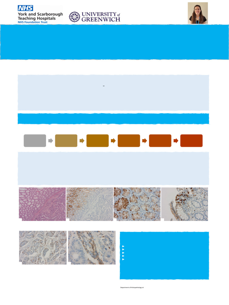 Cellular PathologyAna Raquel Lobo Da RochaCan Immunohistochemistry ...
