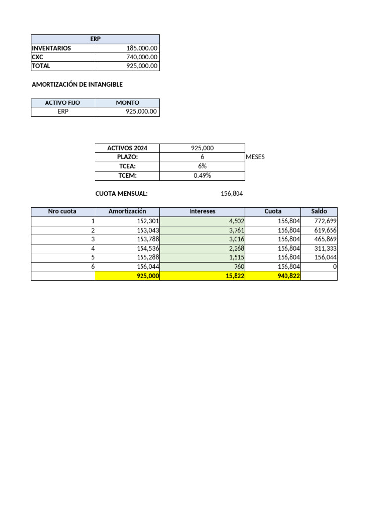 Amortización y Asientos de ERP 2024 | PDF | Depreciación | Informática