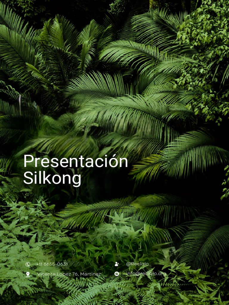 Presentación Silkong | PDF | Ciencia y matemática