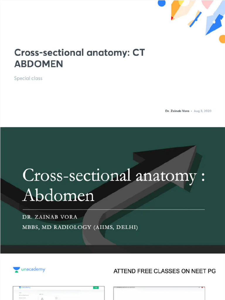 Cross-Sectional Anatomy CT ABDOMEN | PDF