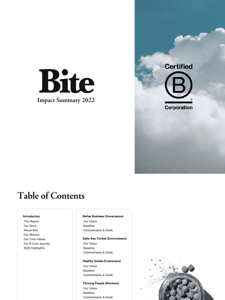 Bite Impact Summary 2022 | PDF | Biodegradation | Economy And The ...