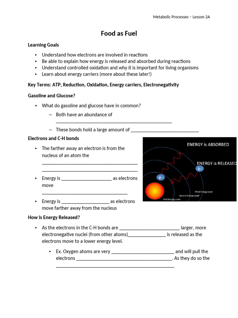 2A - Lesson 2A - Food As Fuel | PDF | Redox | Chemical Reactions