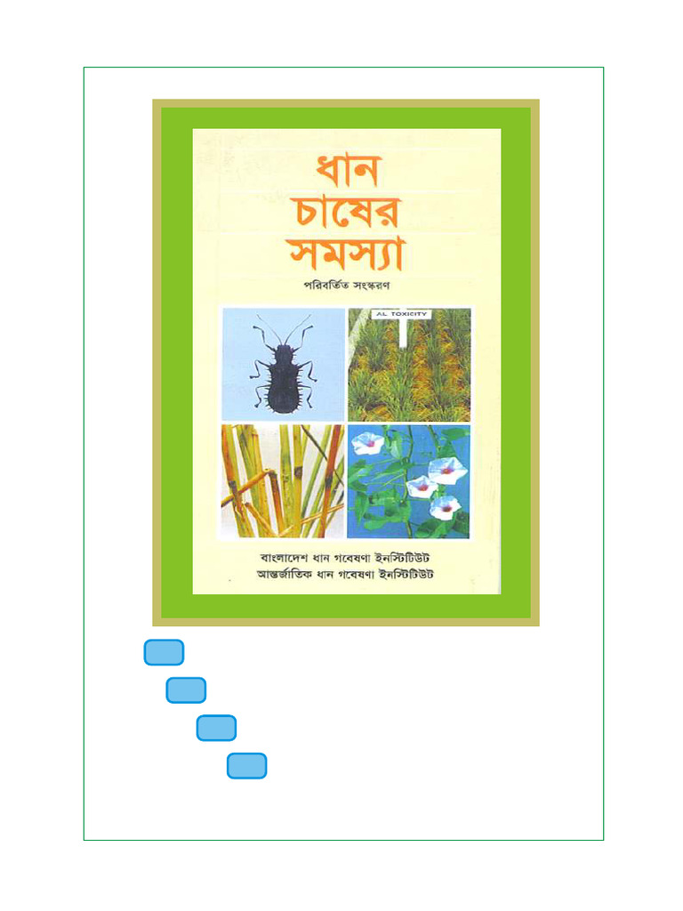 Booklet Rice Production Problem | PDF