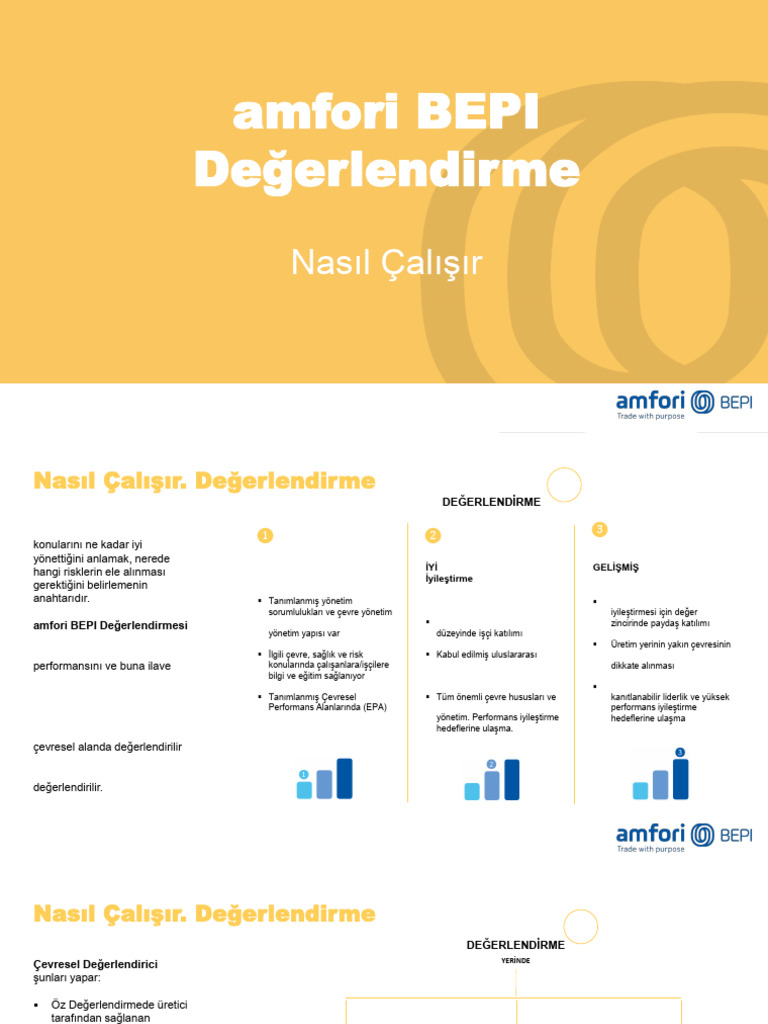 BEPI Assessment Explainedturkish - 0 | PDF