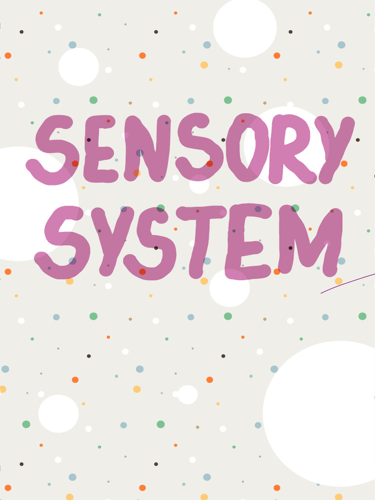 Sensory System and Ascending Tracts | PDF | Neuroscience | Neuroanatomy