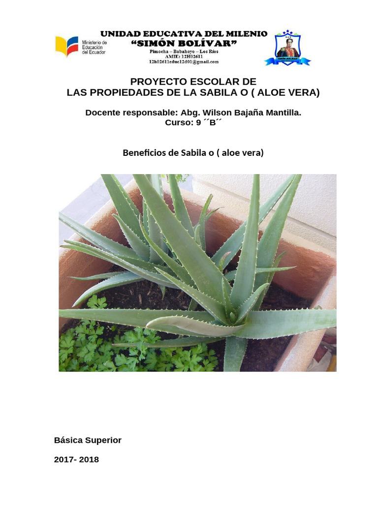 Proyecto de La Sabila 2017 Noveno B | PDF | Psoriasis | Agua