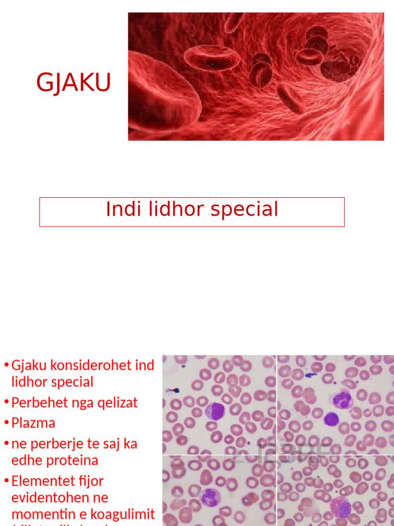 9 Gjaku | PDF