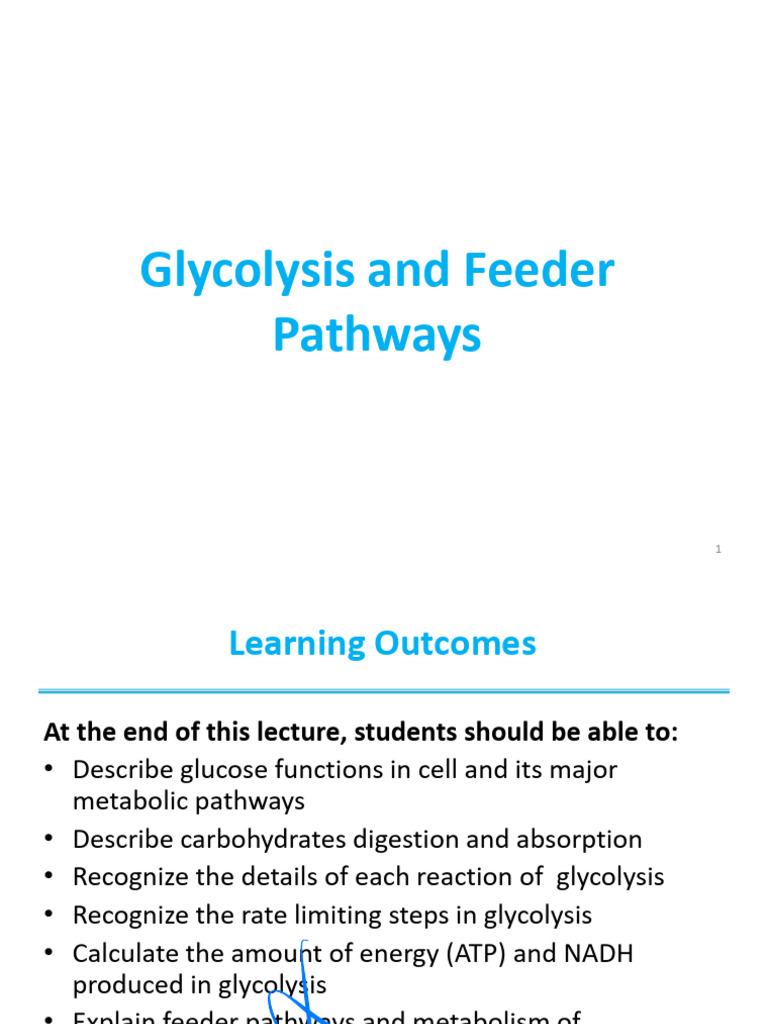 1 - Glycolysis & Feeder Pathways | PDF | Glycolysis | Adenosine ...