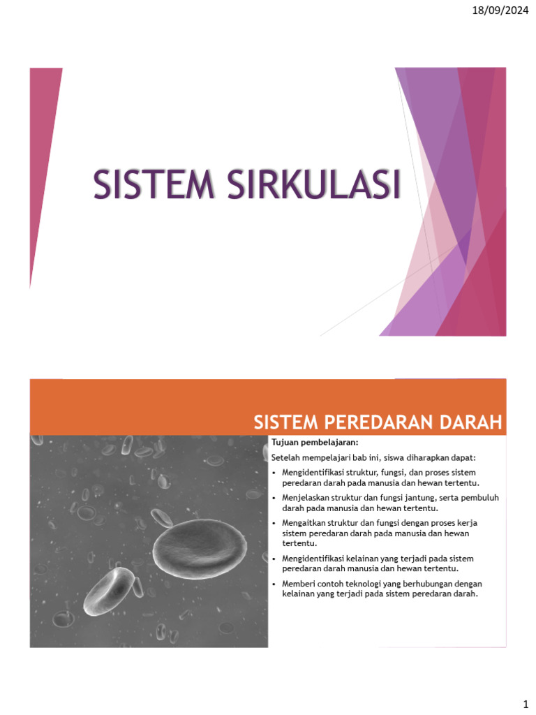 Sistem-Sirkulasi-2024 PTS | PDF