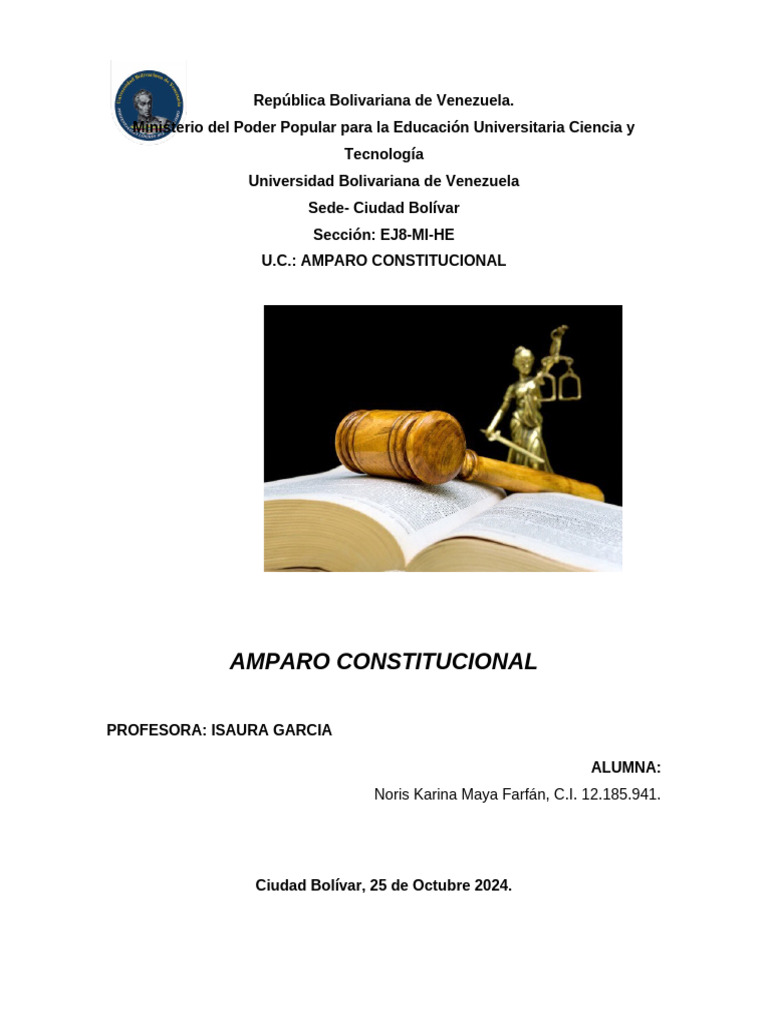 Acción de Amparo Constitucional en Venezuela | PDF | Derecho ...