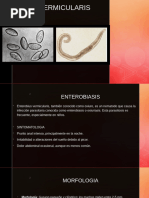 CDC - DPDX - Enterobiasis | PDF | Sistema digestivo | Parasitología