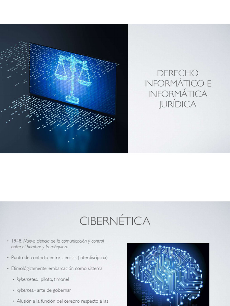Derecho Informático E Informática Jurídica | PDF | Gobierno E | Cibercrimen