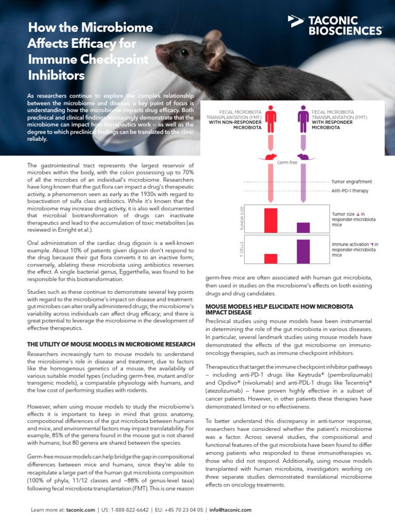 Taconic How The Microbiome Affects Efficacy For Immune Checkpoint Inhibitors Taconic Biosciences ...