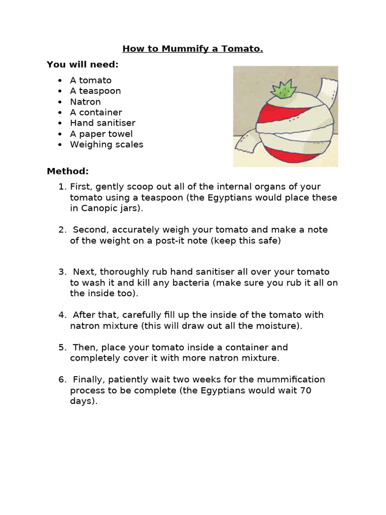 Mummification Process for Tomatoes | PDF | Wellness