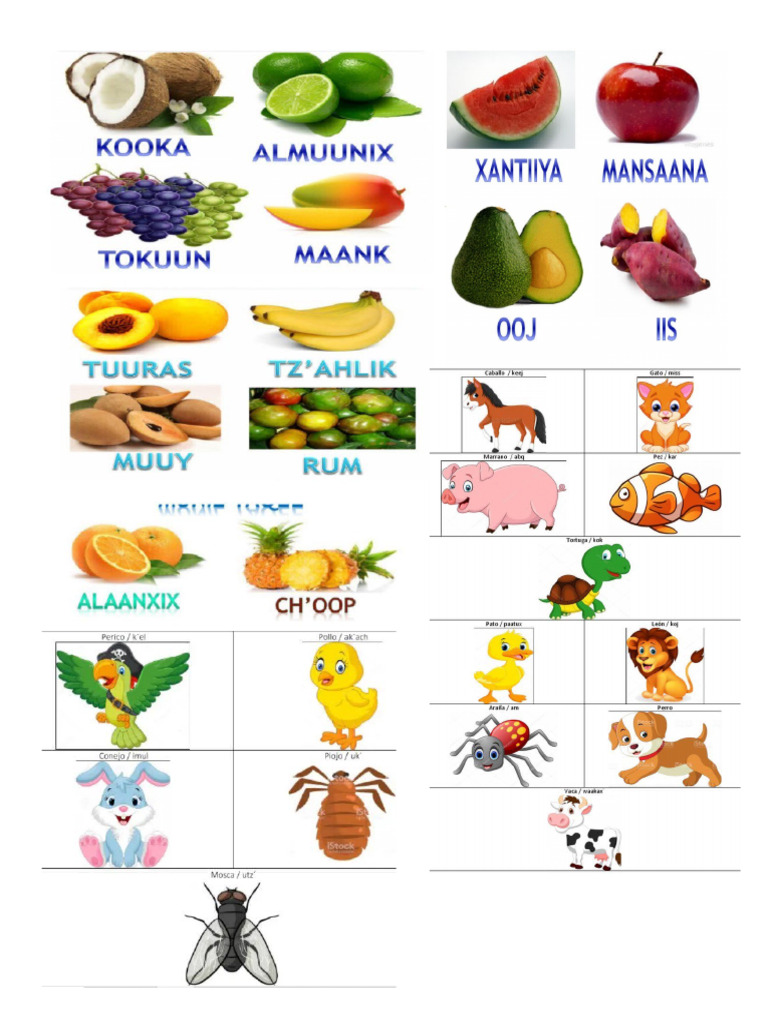 Palabras en Poqomam 100 | PDF