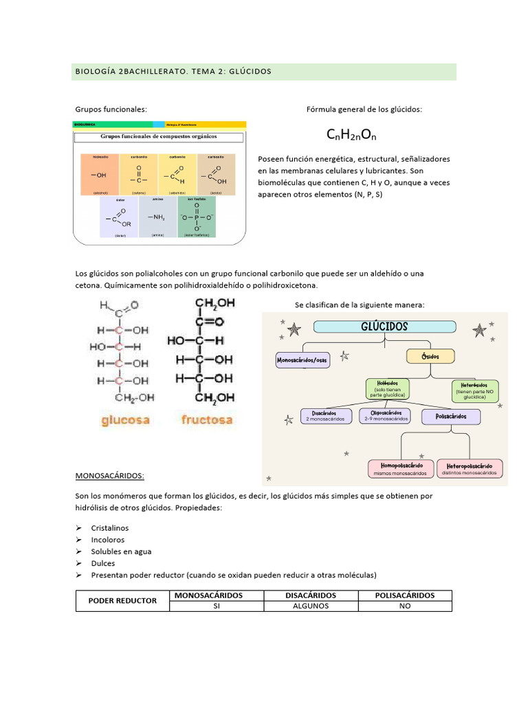 Biologã - A Tema 2, Glã - Cidos | PDF | Carbohidratos | Polisacárido