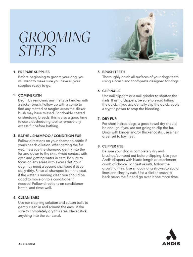 Step-by-Step-DIY-Grooming-Guide | PDF | Hair | Dogs