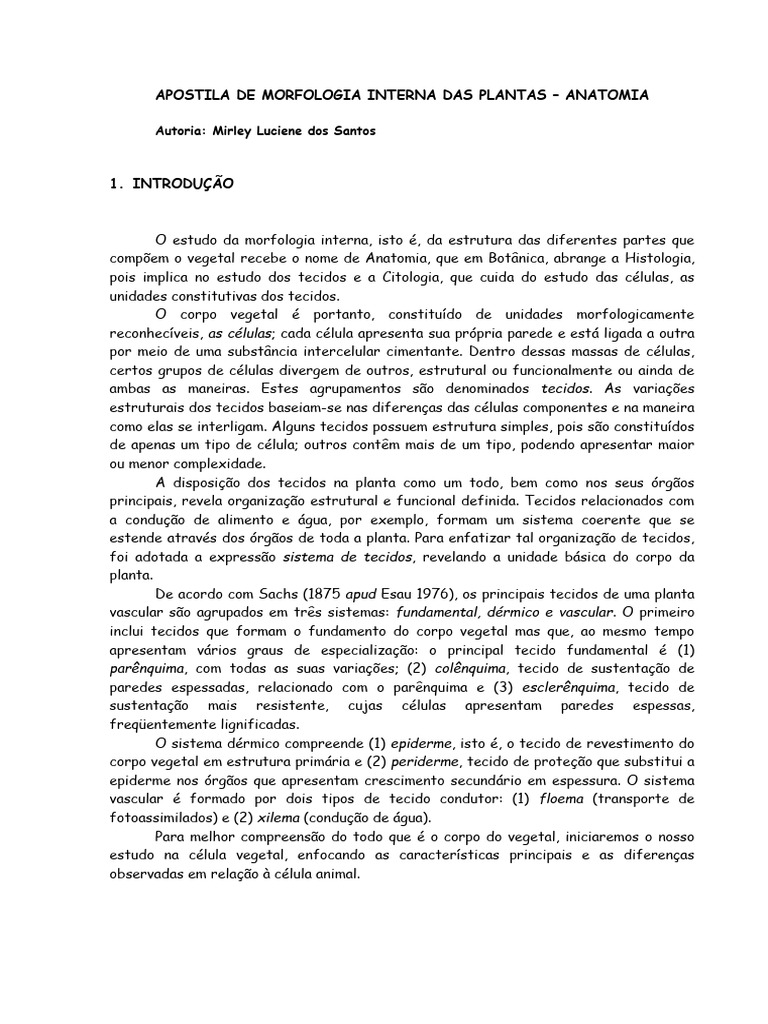 Apostila Anatomia e Morfologia - Célula Vegetal, Tecidos e Anatomia Dos ...