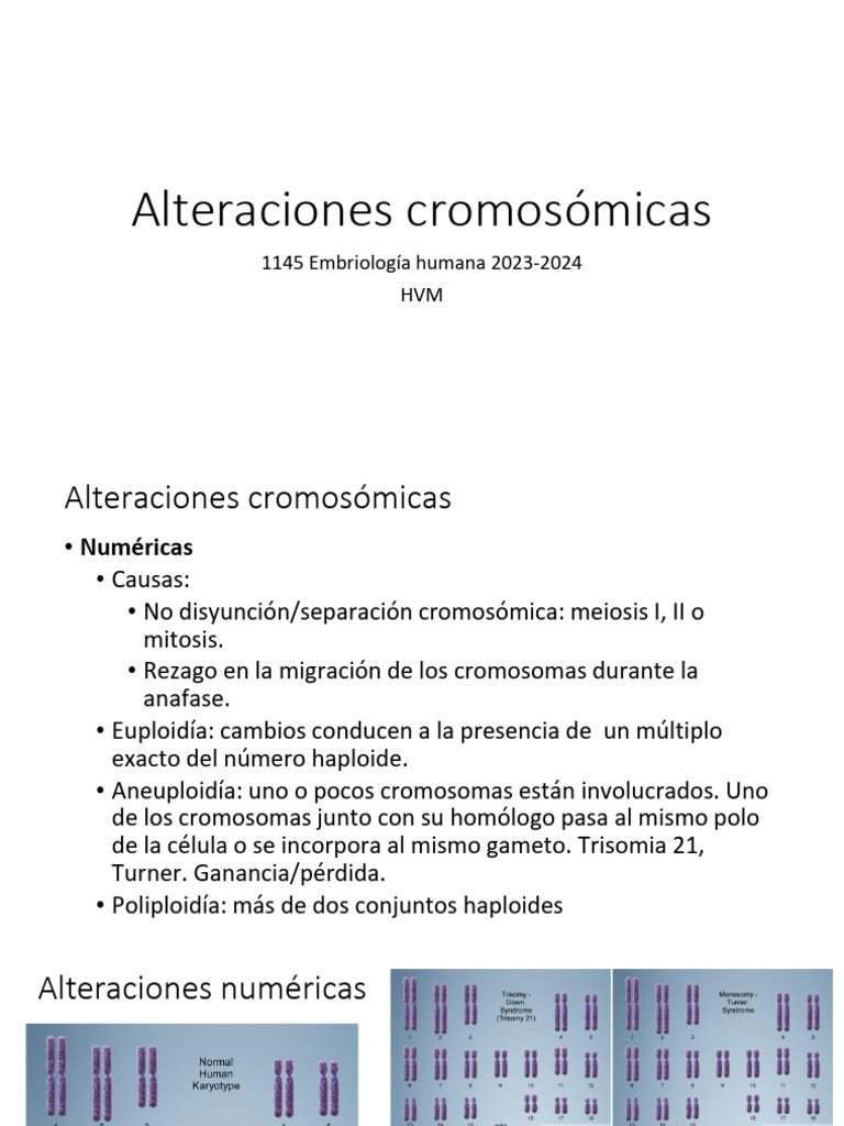 Alteraciones Cromosómicas | PDF | Síndrome de Down | Cromosoma