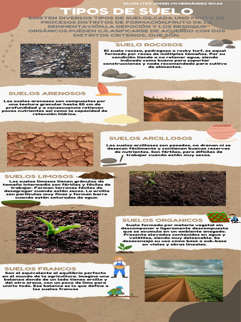 Tipos De Suelo Y Sus Usos Vegetación Y Uso De Suelo