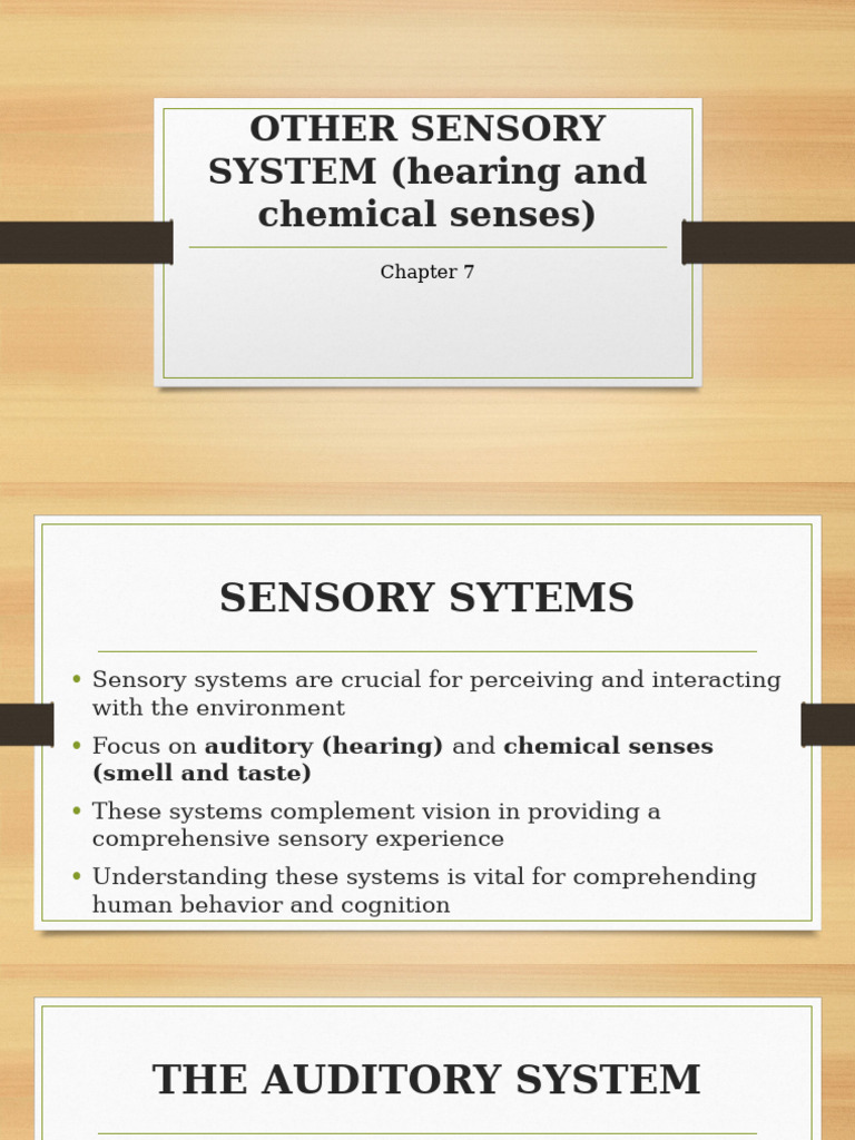 Chapter 7 Other Sensory System | PDF | Taste | Hearing