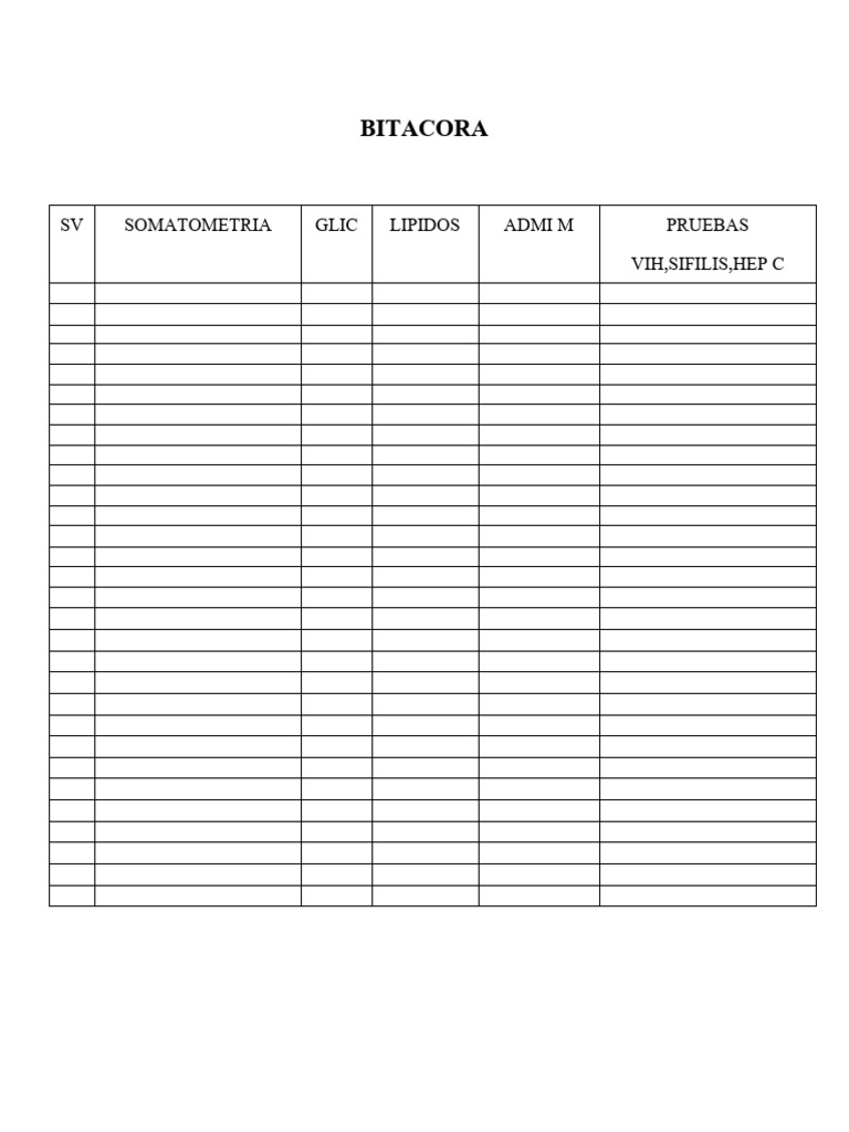 BITACORA | PDF