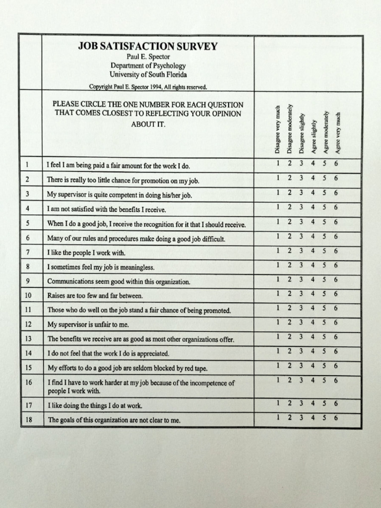 Job Satisfaction Survey | PDF | Job Satisfaction | Workplace