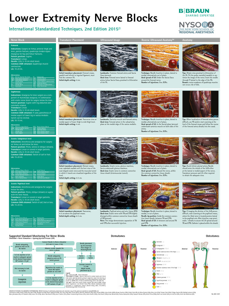 Lower Extremity Nerveblocks B Braun | PDF | Human Leg | Human Anatomy