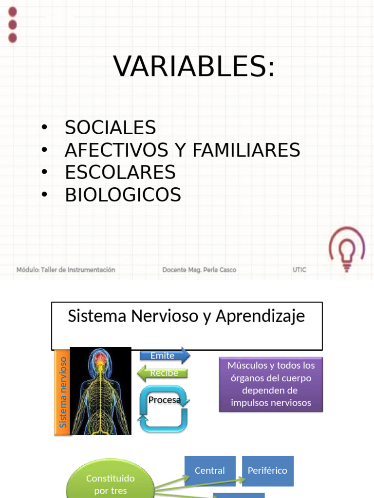 Clase 3 Variables Del Alumno | PDF | Aprendizaje | Cerebro