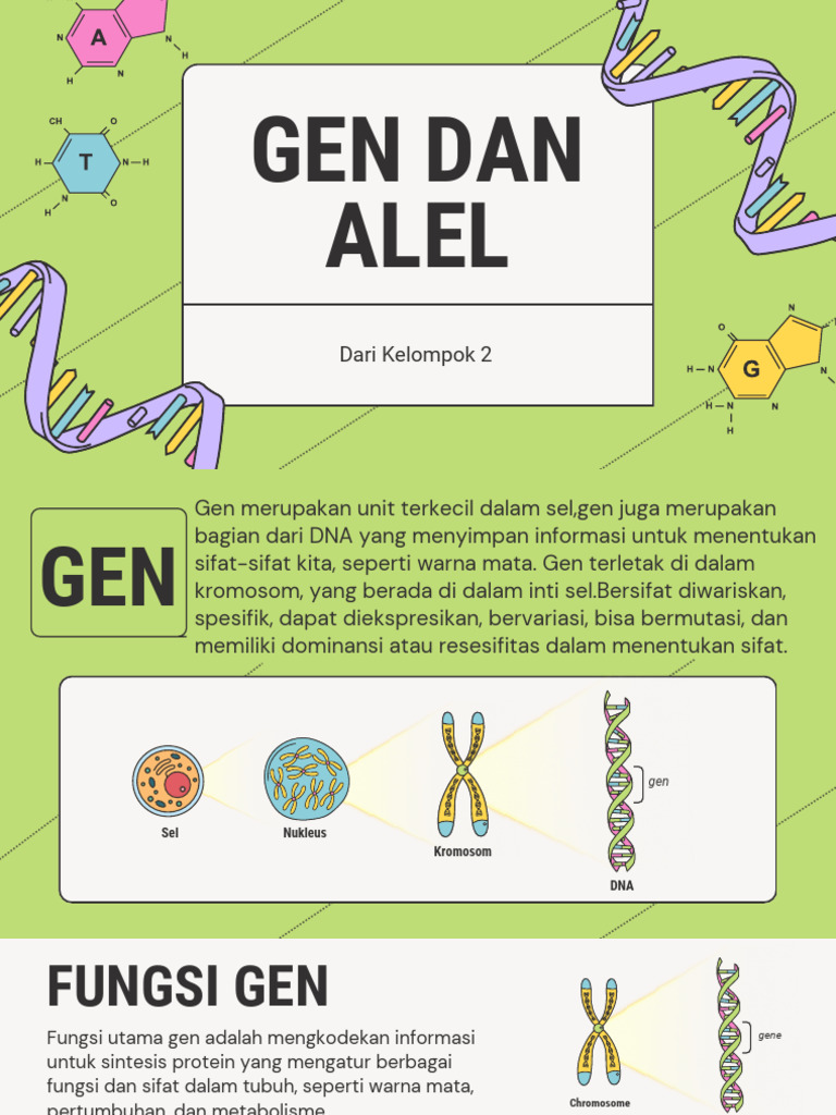 Materi Gen Dan Alel Kelompok 2 (Biologi) | PDF | Pengembangan Diri ...