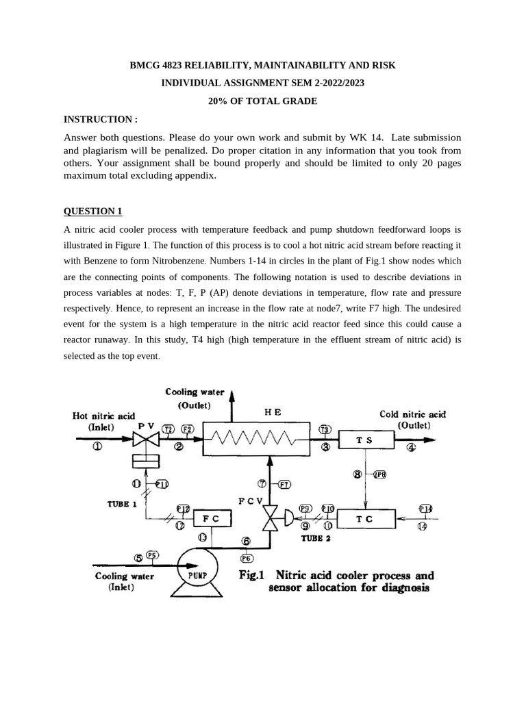 INDIVIDUAL ASSIGNMENT | PDF | Nuclear And Radiation Accidents And Incidents | Nuclear Reactor