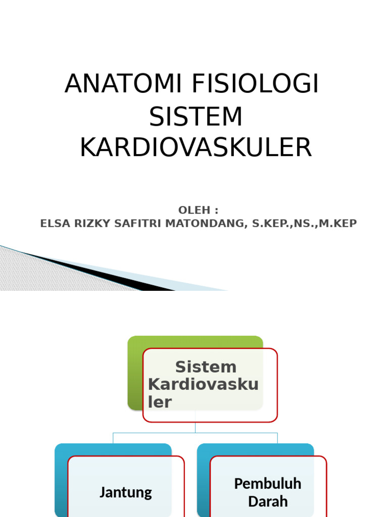 Anatomi Dan Fisiologi Sistem Kardiovaskuler | PDF | Seni | Kesehatan Holistik