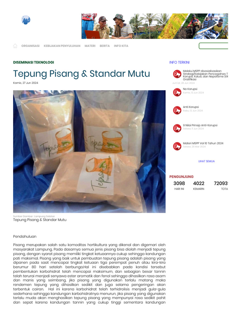 Tepung Pisang & Standar Mutu | PDF