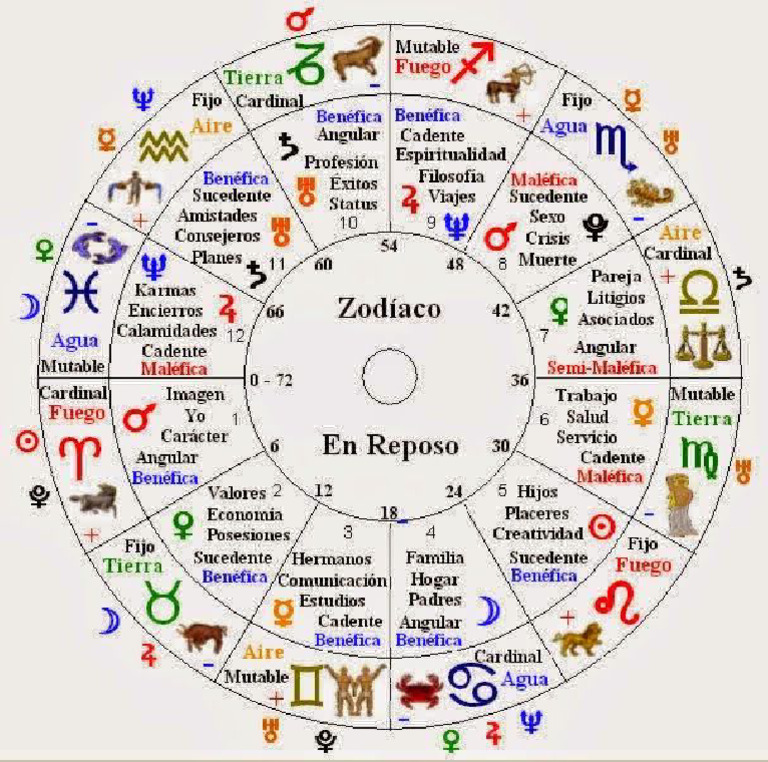 Lamina Resumen de Signos | PDF