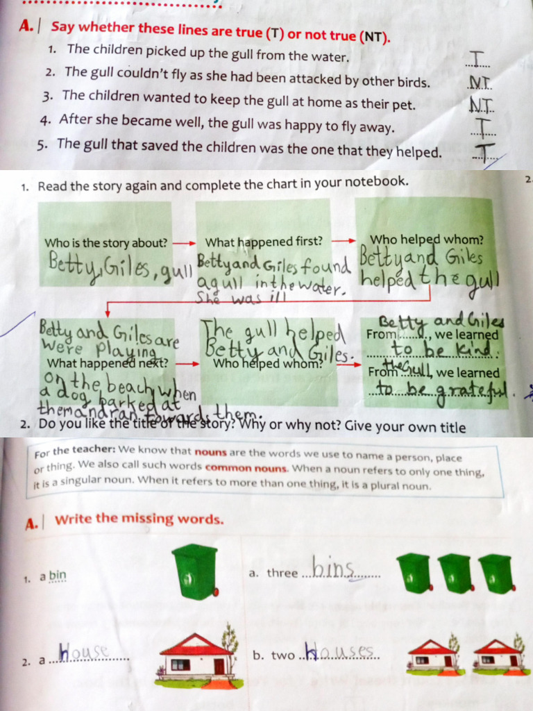 2384785-1727501628-Chapter - 1 Textbook and Notebook Notes | PDF | Noun ...