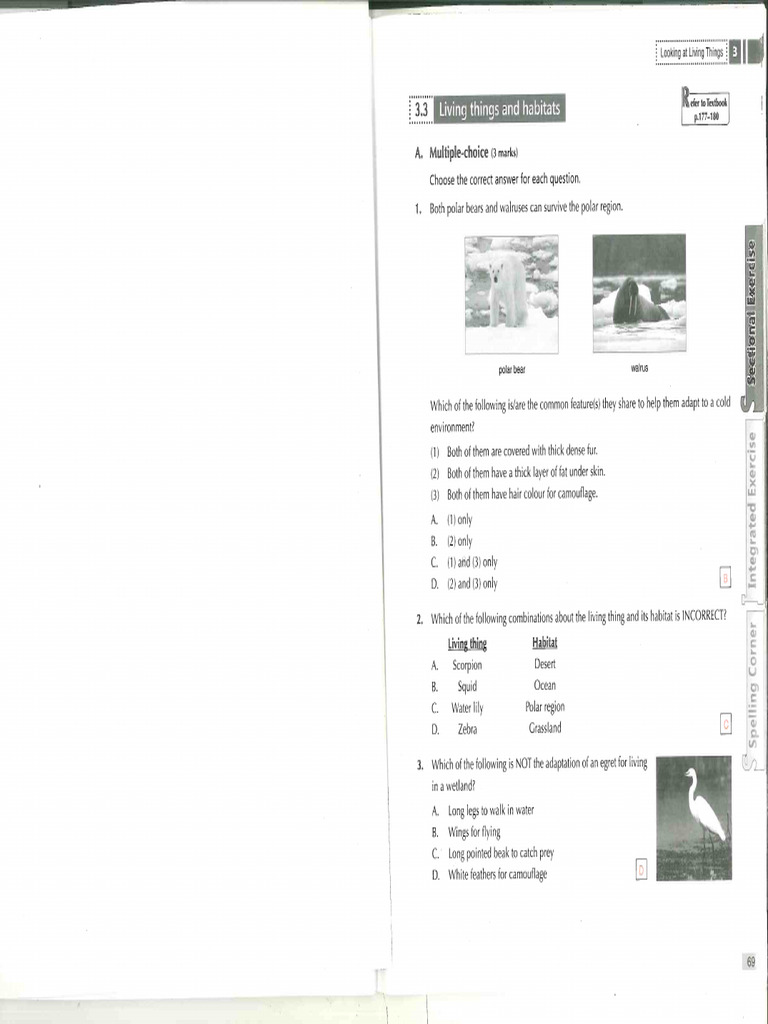 Unit 3 Assignment Book p69 - p83 | PDF