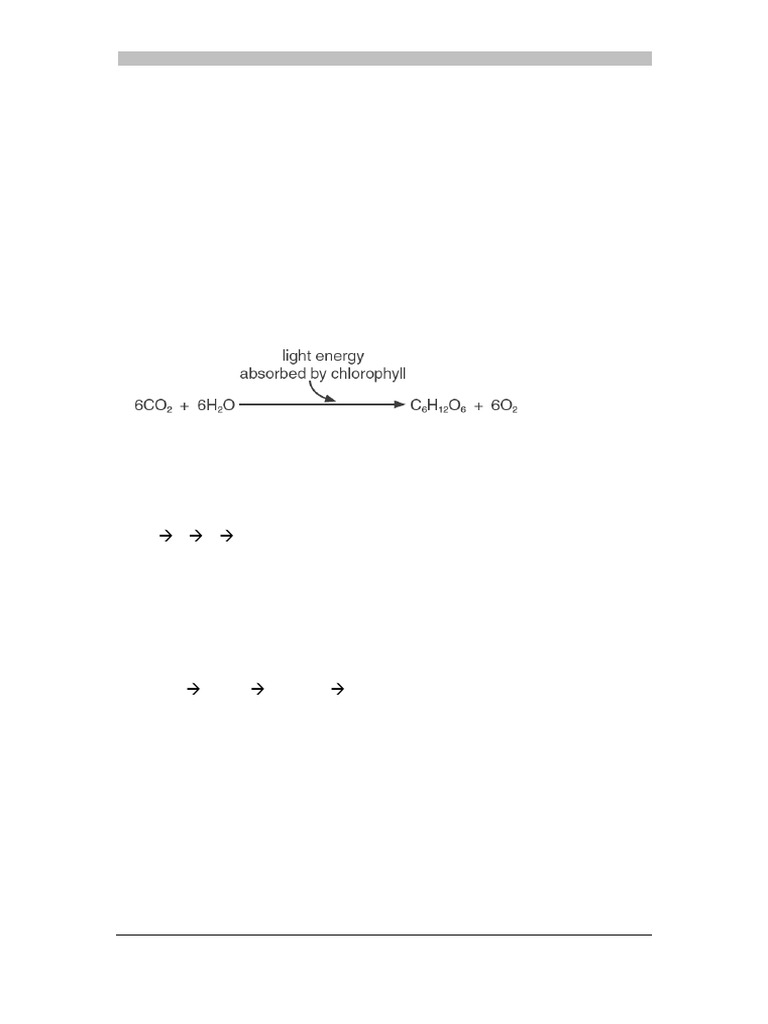 Scicent - Answers To Textbook - U7 - Final - R - e (Checkpoint Ex & Unit Ex) | PDF