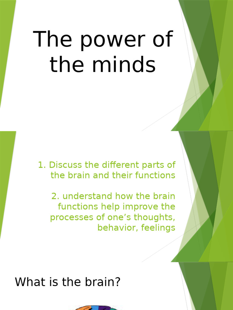 Understanding Brain Functions and Lateralization | PDF