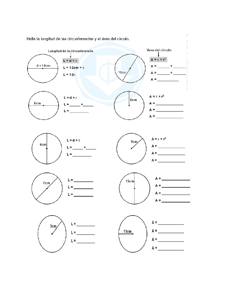 Fichas de Area de Circulo | PDF
