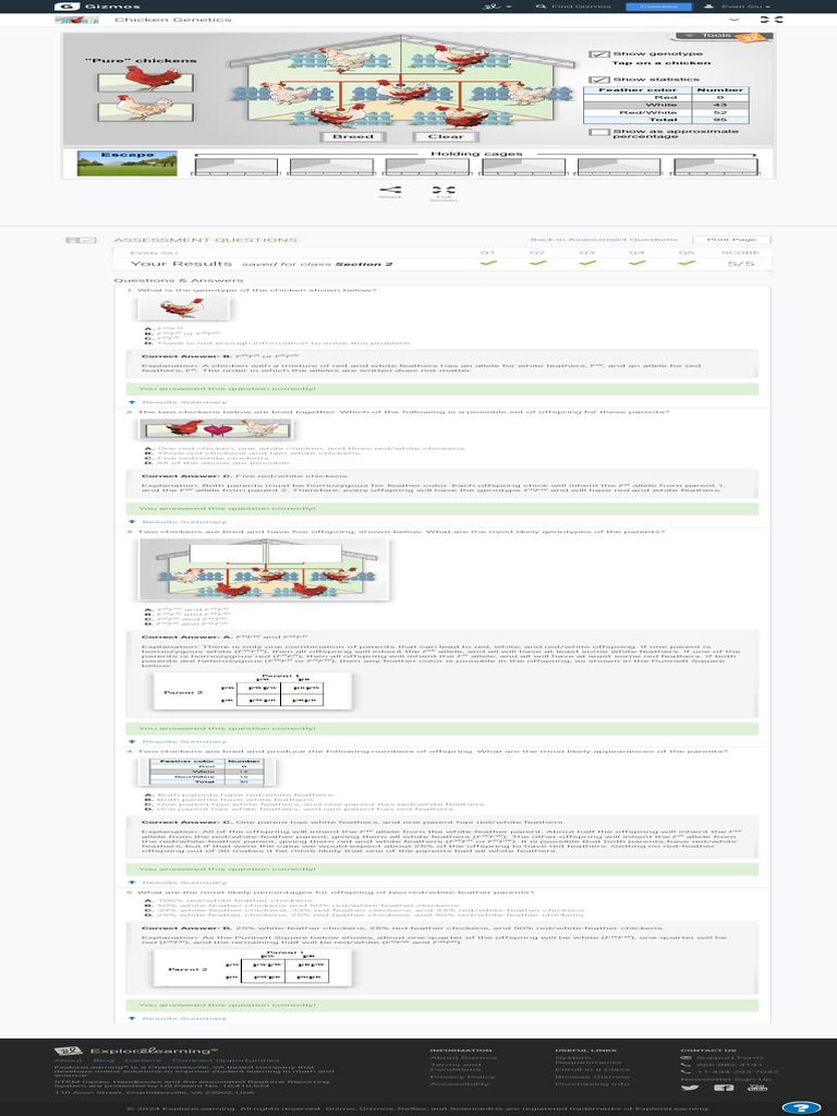 Chicken Genetics Gizmo ExploreLearning | PDF | Zygosity | Genotype