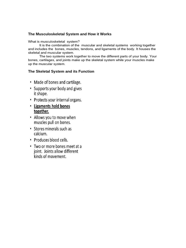 The Musculoskeletal System and How It Works | PDF | Wellness | Science ...