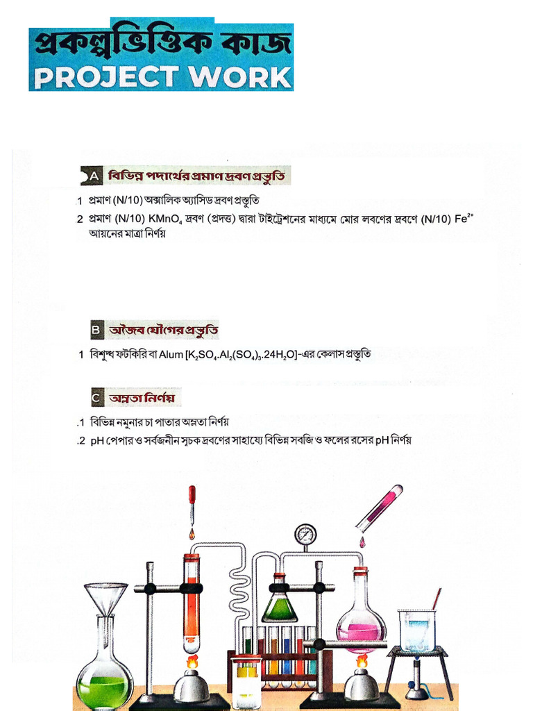 WBCHSE Class XI Project Work 2025 A12B1C12 | PDF