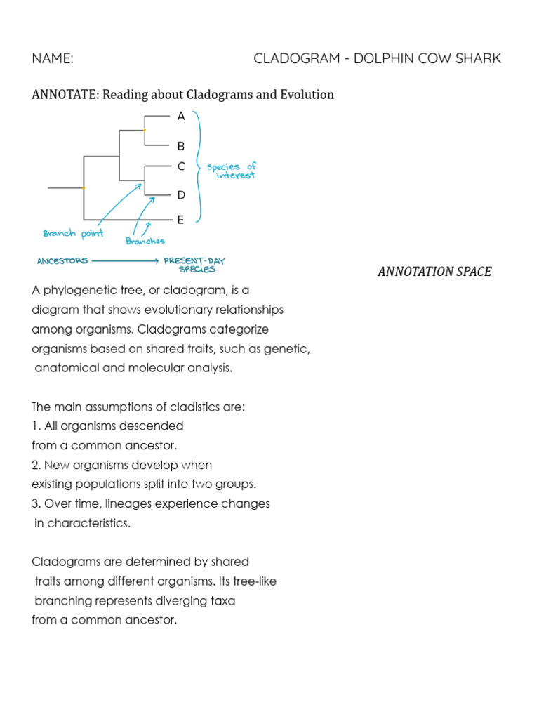 Cladograms DOLPHIN COW SHARK | PDF | Taxonomy (Biology) | Biological ...