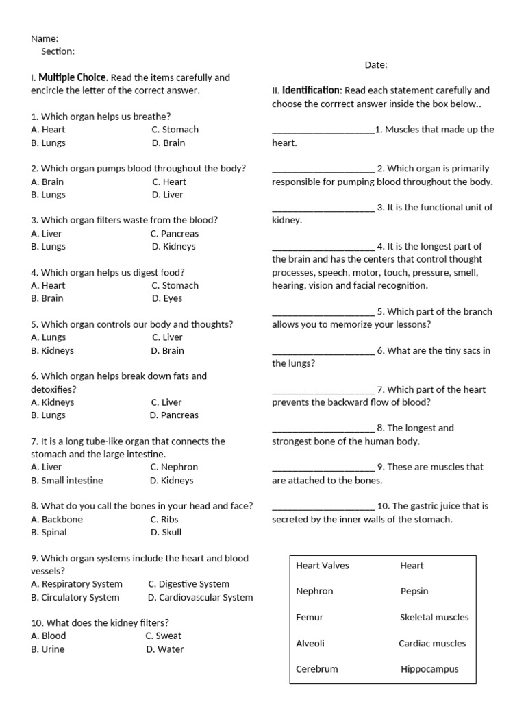 Human Body Organs Quiz and Identification | PDF | Heart | Lung