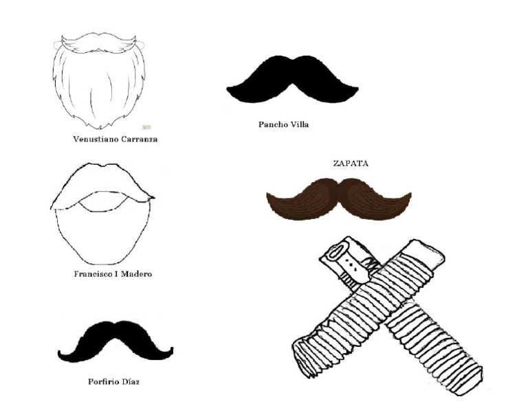 Bigotes | PDF